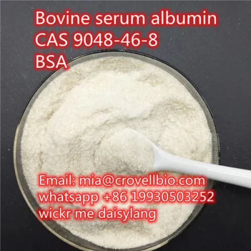 Bovine Serum Albumin Cas 9048-46-8 Bsa, High Quality Bovine Serum ...