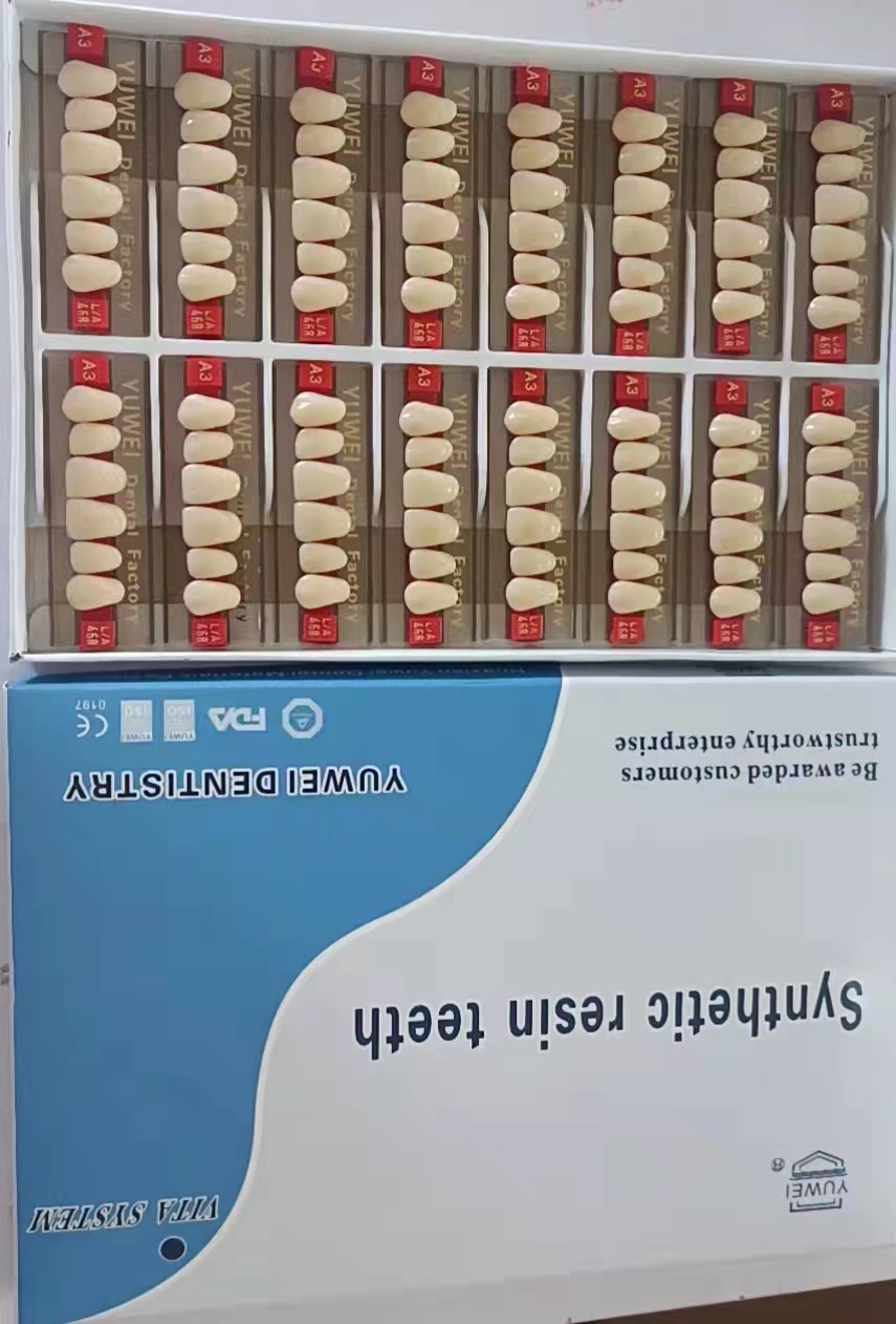 치과 2 층 전체 세트 수지 치아, Bossgoo.com의 고품질 치과 2 층 전체 세트 수지 치아