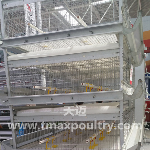 H Type Automatic Broiler Cage System, High Quality H Type Automatic ...