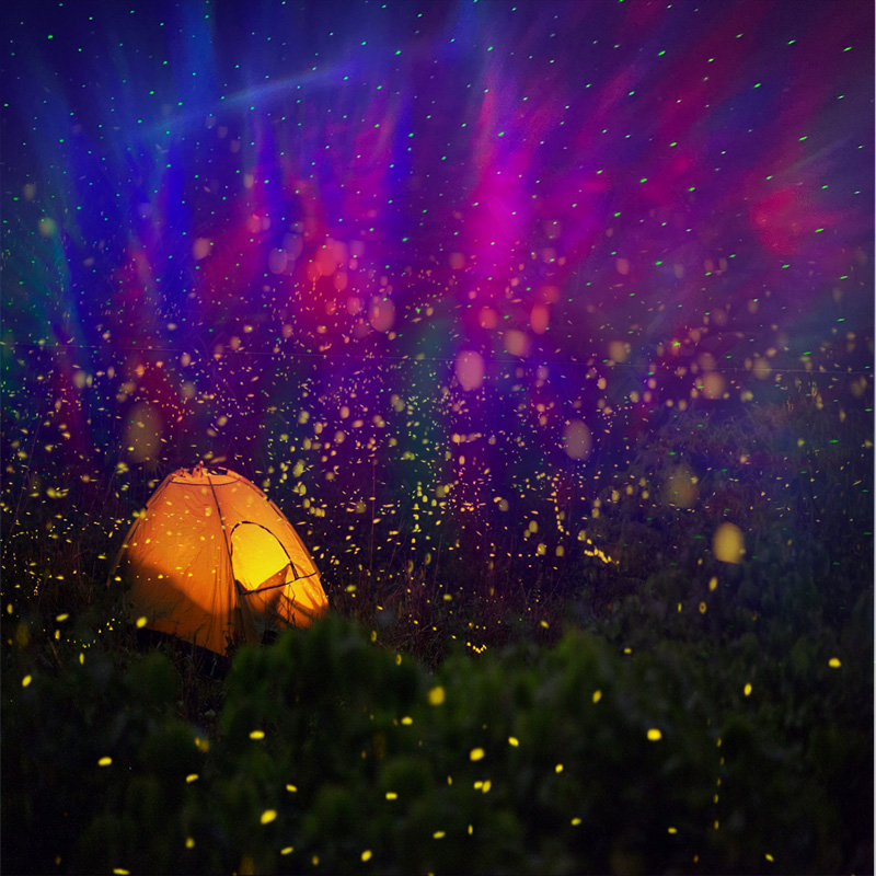 Professional Rgb Rotating Laser Light With Bluetooth Firefly Effect ...