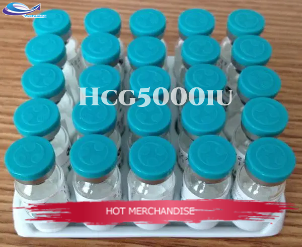 최상의 가격으로 고품질 Hcg 5000iu 주입, Bossgoo.com의 고품질 최상의 가격으로 고품질 Hcg 5000iu 주입