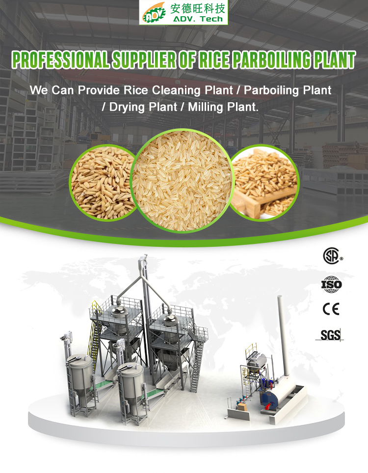 30 Tons Rice Meal Machine: Whole Production Line Of Paddy Parboiling ...