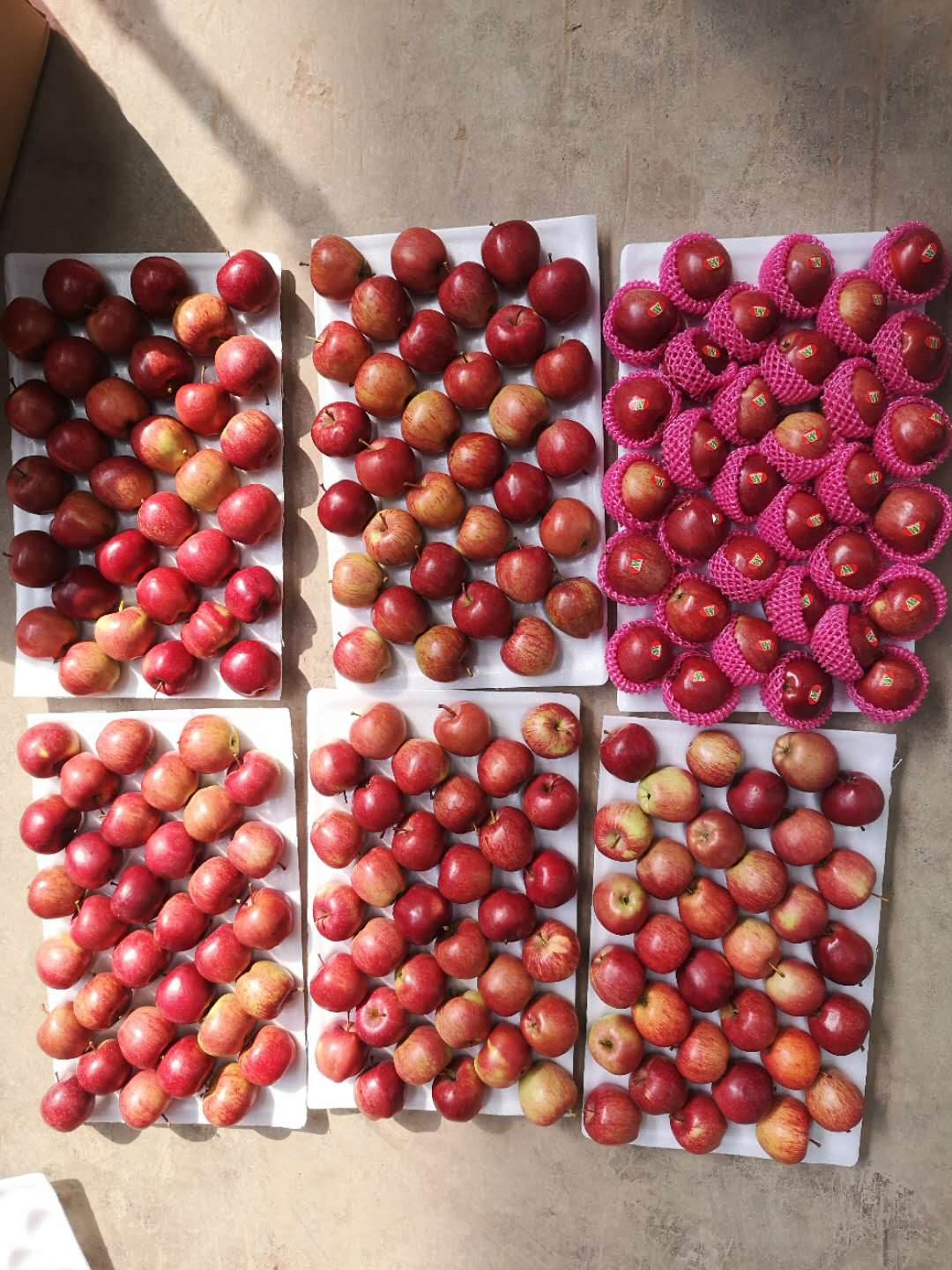 Fresh Red Star Apples, High Quality Fresh Red Star Apples on Bossgoo.com