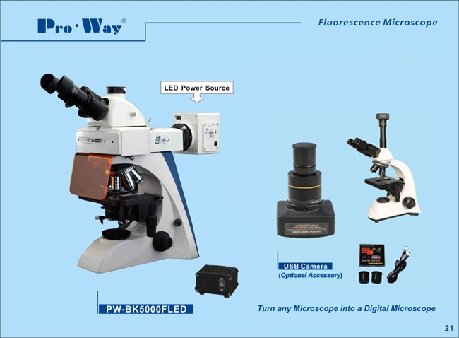 Professional Fluorescent Biological Microscope For Lab, High Quality ...
