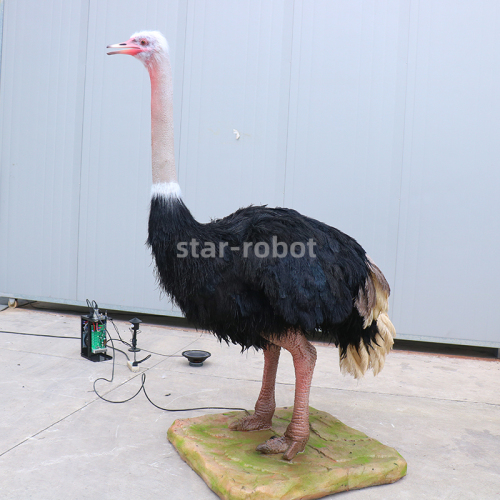 Animatronic Ostrich Life Size Animal Model, High Quality Animatronic ...