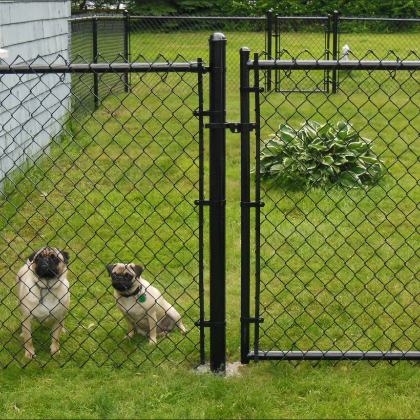 Pvc Coated Chain Link Fence Wire Mesh คุณภาพสูง Pvc Coated Chain Link ...