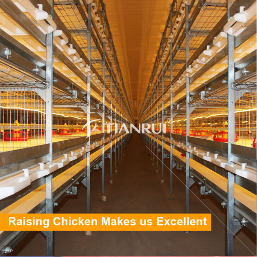 Automatic Broiler Cage System/broiler Battery Cage, High Quality ...
