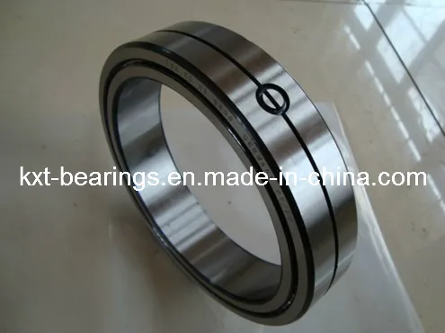 Double Row Full Complement Roller Bearing (sl185018), High Quality ...