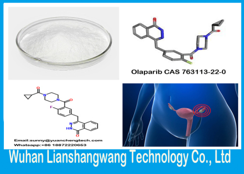 Parp Inhibitor Olaparib For Advanced Ovarian Cancer Treatment, High ...