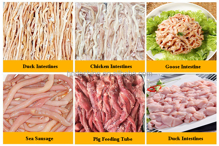 Poultry Intestines Cleaning Machine, High Quality Poultry Intestines ...