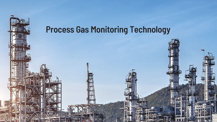 Real-time Laser Raman Gas Analyzer For Multi-gas Measurements (h2, N2 ...