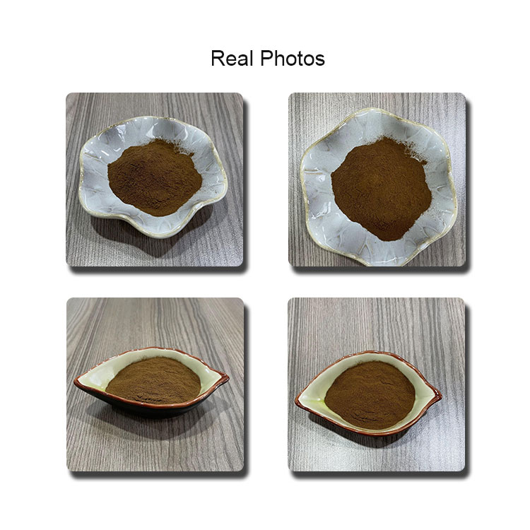 Gotu Kola 추출물 Centella Asiatica Powder 공급, Bossgoo.com의 고품질 Gotu Kola ...