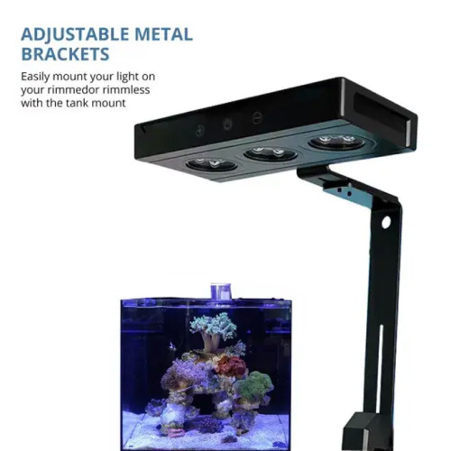 Marine Reef Aquarium Plant Lights Fish Tank Lamp, High Quality Marine ...