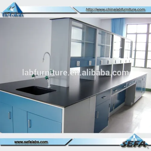 Floor Mounted All Steel Structure Biology Work Benches Laboratory ...