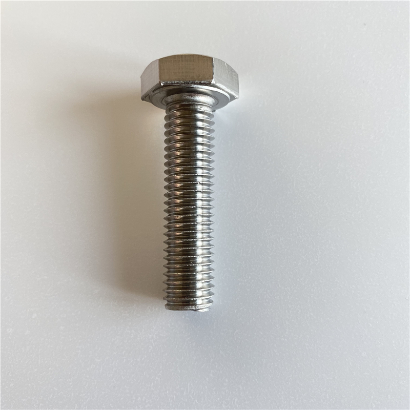 Branded F593c M10 Stainless Steel 304 Bolts, Nuts, And Washers: Duplex ...