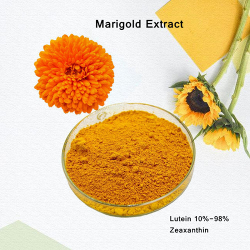 Marigold Extract Powder Lutein 5%, High Quality Marigold Extract Powder Lutein 5% on Bossgoo.com