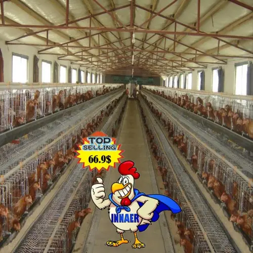 Ss Chicken Cage, High Quality Ss Chicken Cage on Bossgoo.com