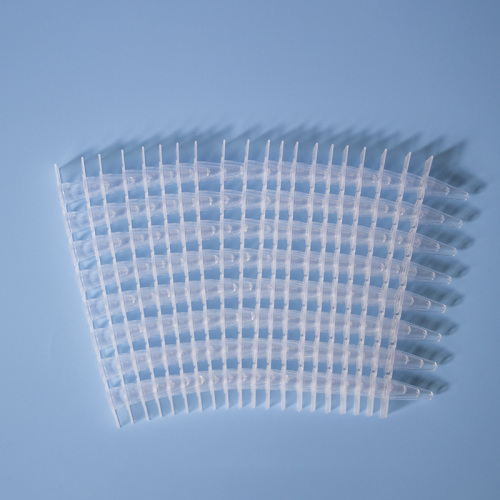 12 Real Time Pcr Tube Strips With Attached Caps, High Quality 12 Real ...