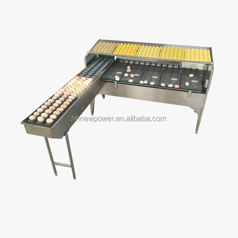 Automatic Chicken Egg Grading And Salty Duck Egg Sorting Machine For ...