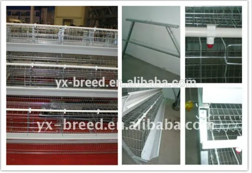 H-type Multi-tier Chicken Layer Coop, High Quality H-type Multi-tier ...