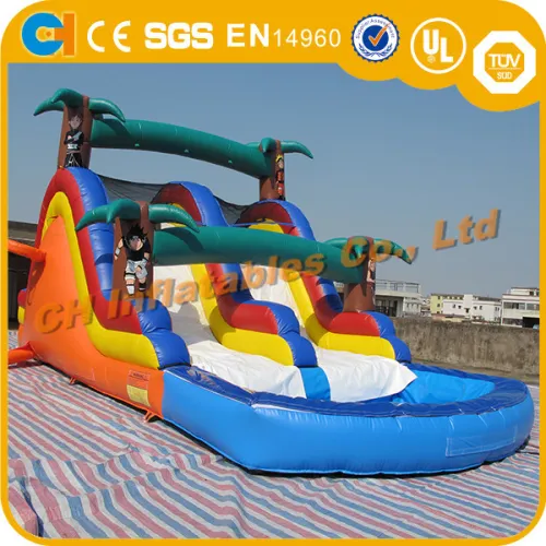 Giant Inflatabe Slide Inflatable Sldie With Pool Inflatable Pool Slide ...