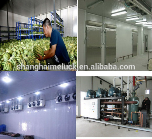 Meluck Cold Storage Plant Layout, High Quality Meluck Cold Storage ...