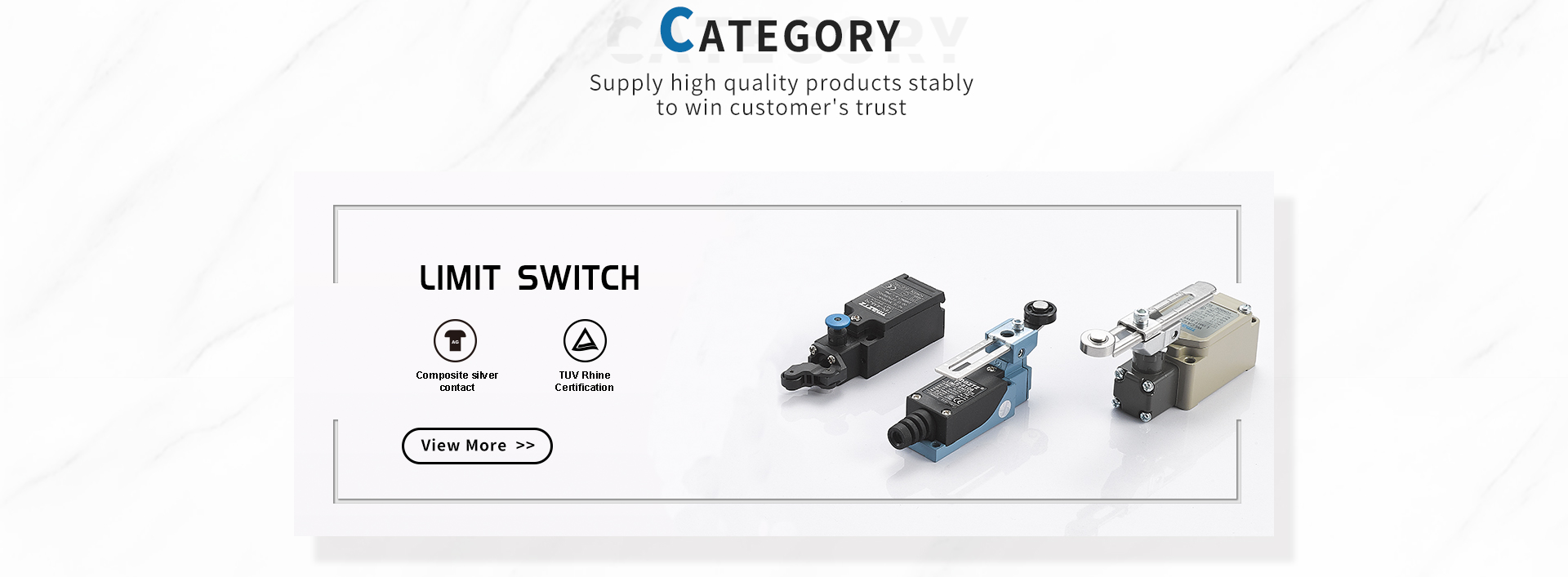Sealed Limit Switch Tmaztz Wlca12-2-q Tz Dz 5108 Yblx-/bold Lever Ip66 ...