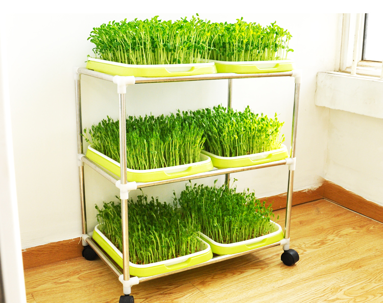 Indoor Seedling Frame With Seedling Trays, High Quality Indoor Seedling ...