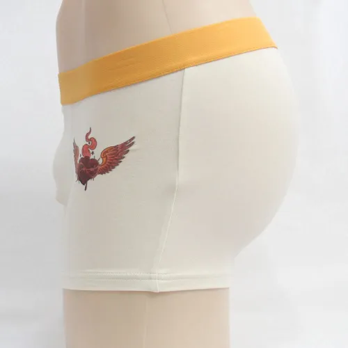 Sexy Men Boxer Underwear Men Boxer And Underwear Men Fancy Boxer ...