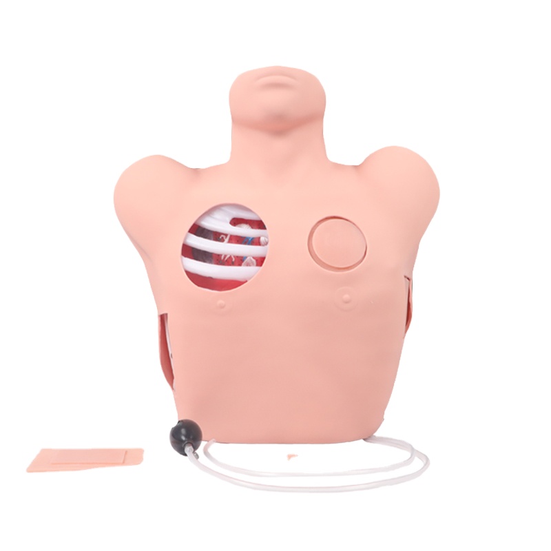 Darhmmy Thoracentesis Drainage Model Medical Training Manikin, High ...