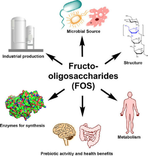 Fructooligosaccharides Fos 95 분말 장 미생물 총, Bossgoo.com의 고품질 ...