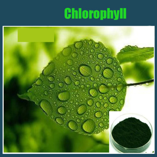Oil-soluble Chlorophyll Low Solvents, High Quality Oil-soluble ...