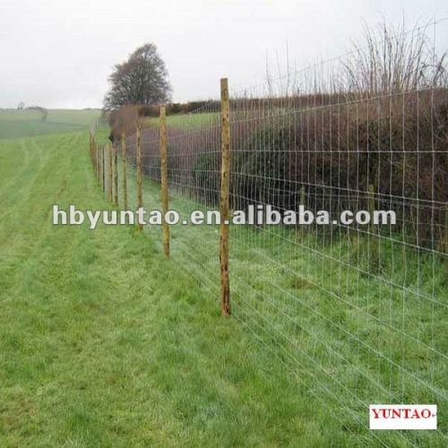 Galnanized Steel Farm Fence Iso9001:2000 Certified, High Quality ...