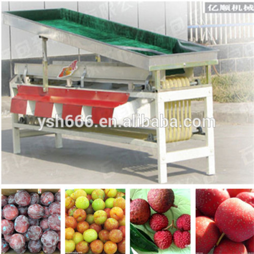 Fruits Sorting Machine/dates Grading Machine, High Quality Fruits ... Fruits Sorting Machine/dates Grading Machine, High Quality Fruits ...