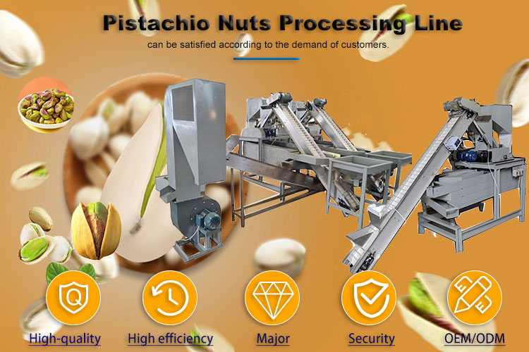 Pine Nut And Pistachio Processing Machine - Equipment Production Line ...
