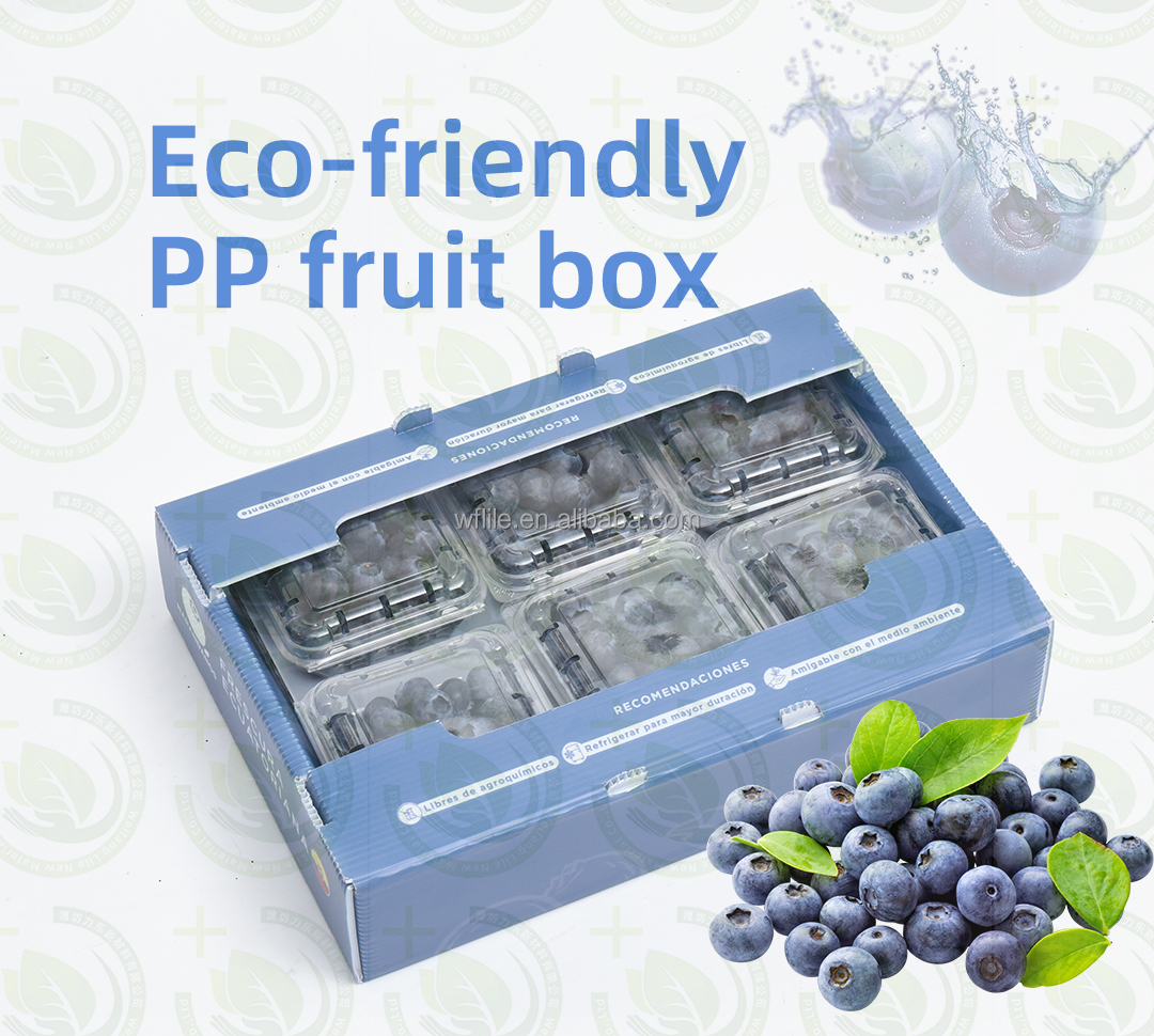 Lightweight Plastic Sheet/panel Board Pp Packing Box For Easy Fruit ...