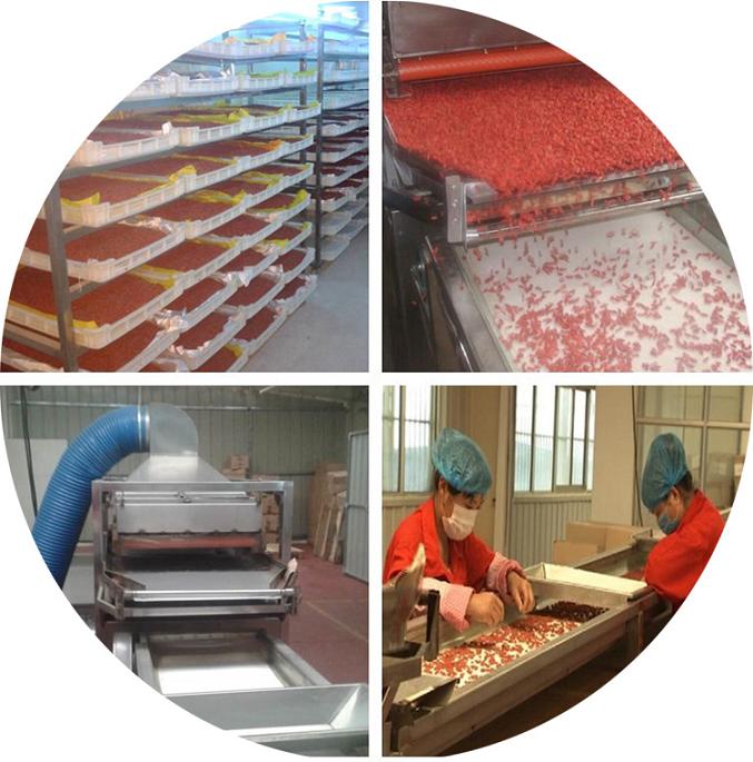 Factory Wholesale Organic Dried Goji Berry, Bossgoo.com의 고품질 Factory ...