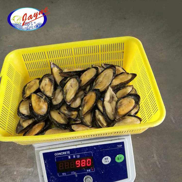 1kg/bag Or 1kg/box Package Frozen Half Shell Mussel In Shellfish With ...