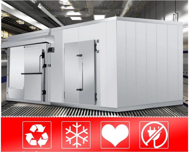 Chiller Room Frozen Insulated Freezer Chicken Cold Storage Room, High ...