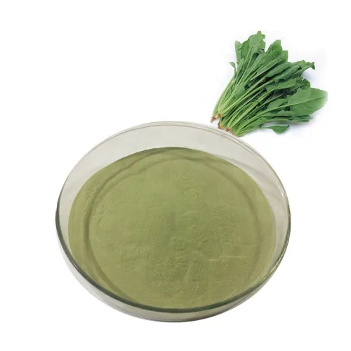 Best Spinach Juice Powder, High Quality Best Spinach Juice Powder on ...
