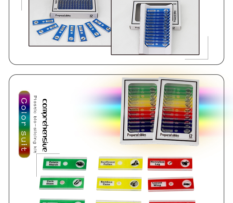 12 Piece Toy Microscope Slide Set - Biological Slides For Children ...