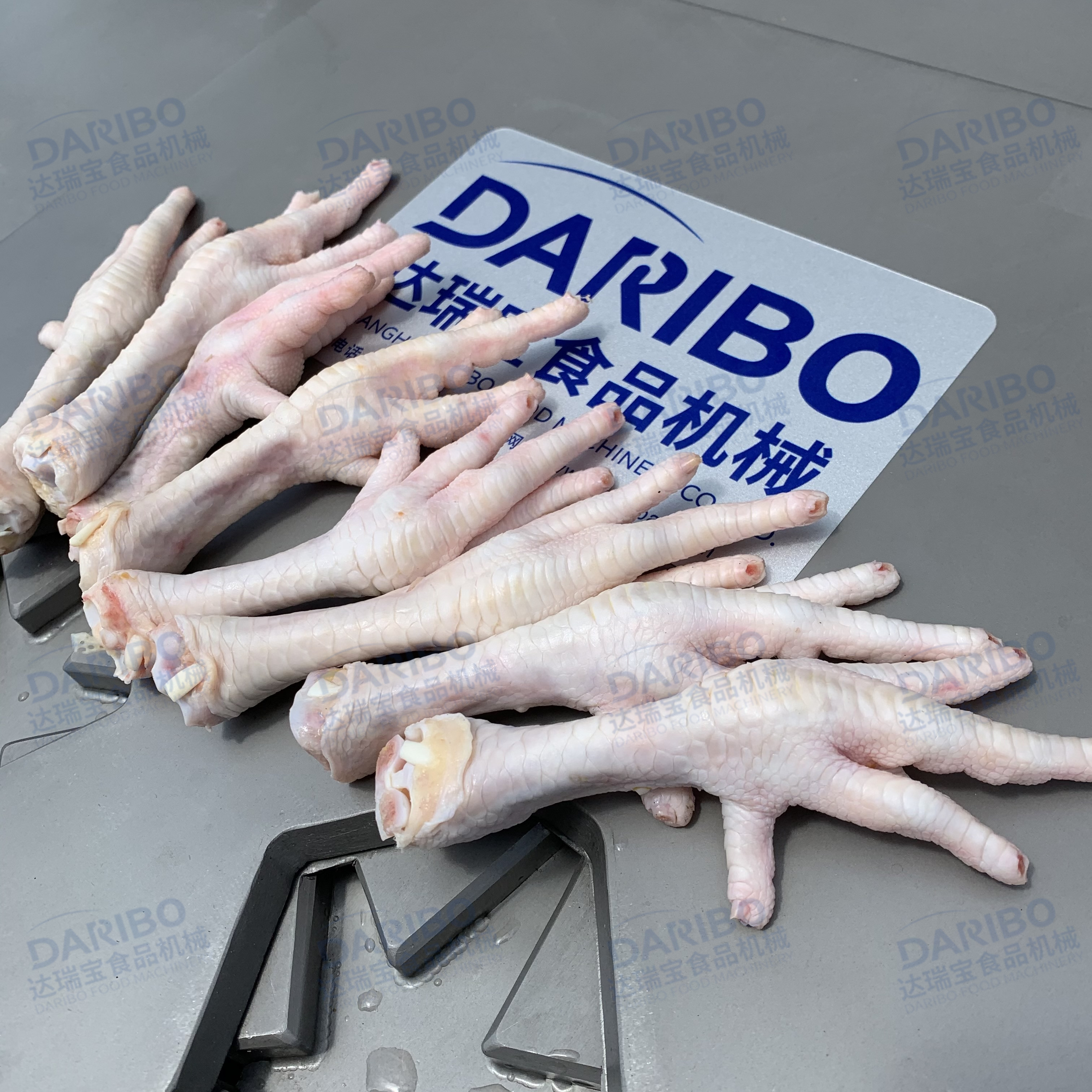 Fresh Chicken Paw Cutter: Claw Processing Machinery, High Quality Fresh ...