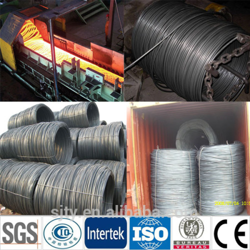 Sae1008b Hot Rolled Steel Wire Rods, High Quality Sae1008b Hot Rolled ...