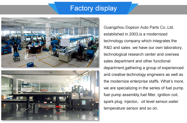 Auto Spare Electric Fuel Pump Assembly Manufacturer For Buick Royal And ...