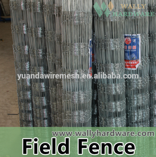 Field Fence / Hingejoint Sheep Wire, High Quality Field Fence ...