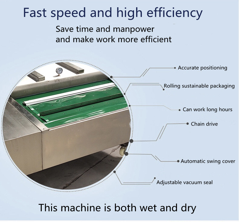 Dz-1100 Single Sealed Continuous Belt Vacuum Packaging Machine, High ...