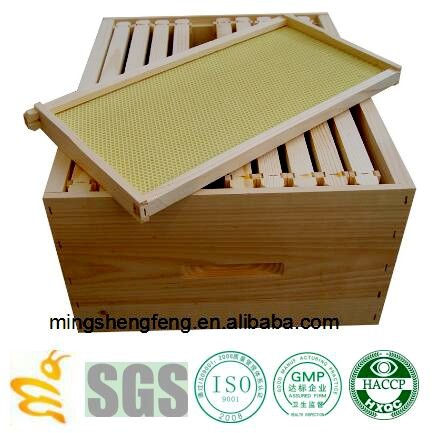 Full Depth Honey Comb Foundation Sheet For Bee Hive Frame (plastic ...