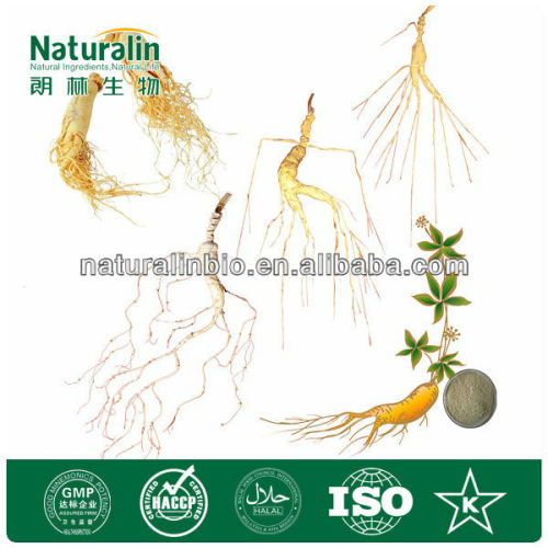 Ginseng Powder For Ginseng Energy Drink/panax Ginseng Extract Powder ...