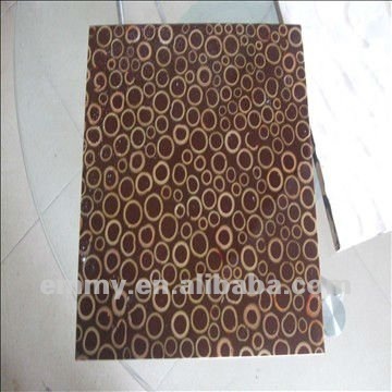 Coconut & Freshwater Mixed Shell Mosaic Tile, High Quality Coconut ...