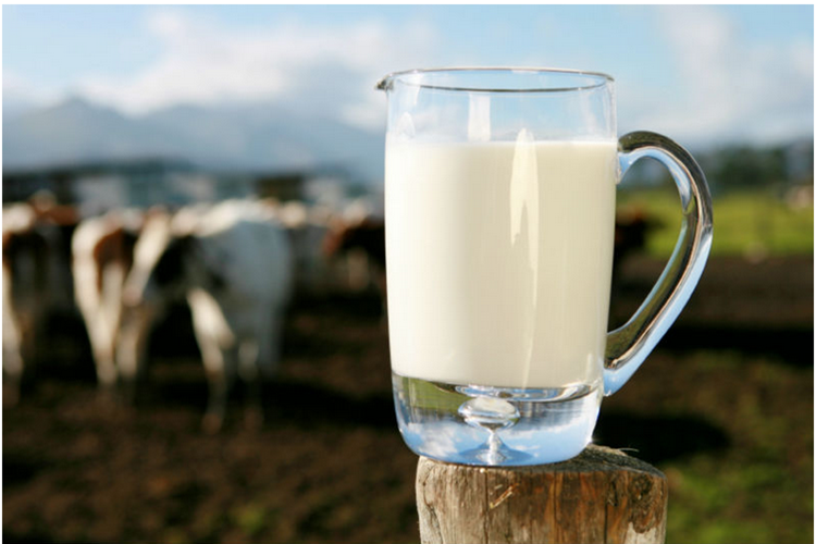 Rpdh Milk Skimmer Three Phase Milk Fat Separator For Soy Milk, High ...